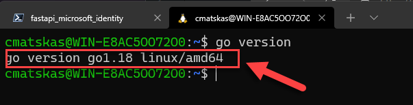 Install Go on WSL Ubuntu from the command line